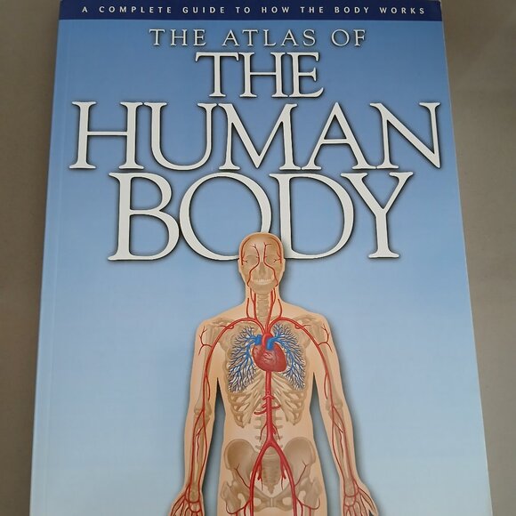 Other | Textbook The Human Body | Poshmark